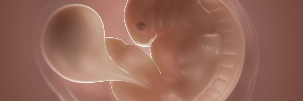 6. SSW | Schwangerschaftskalender | Aptaclub