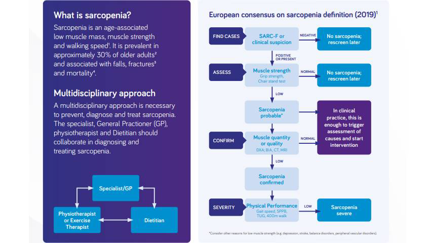 World Sarcopenia Day: highlighting the importance of muscle