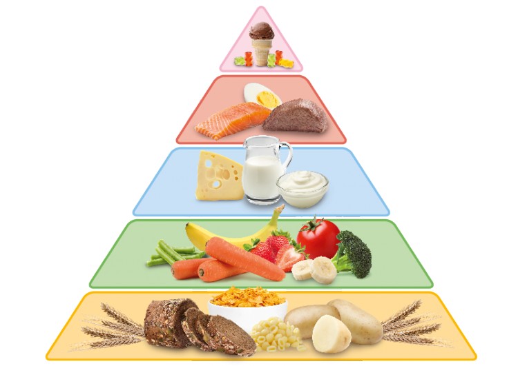 Richtige Ernährung für Kleinkinder | Milupa