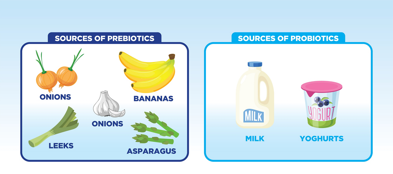 What are synbiotics