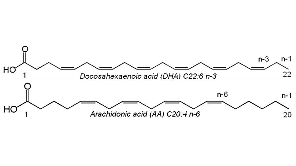 Einfluss der Ernährung auf die kindliche Entwicklung | nutricia.de