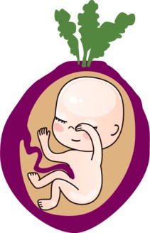 28 weken zwanger? Alles over je zwangerschap