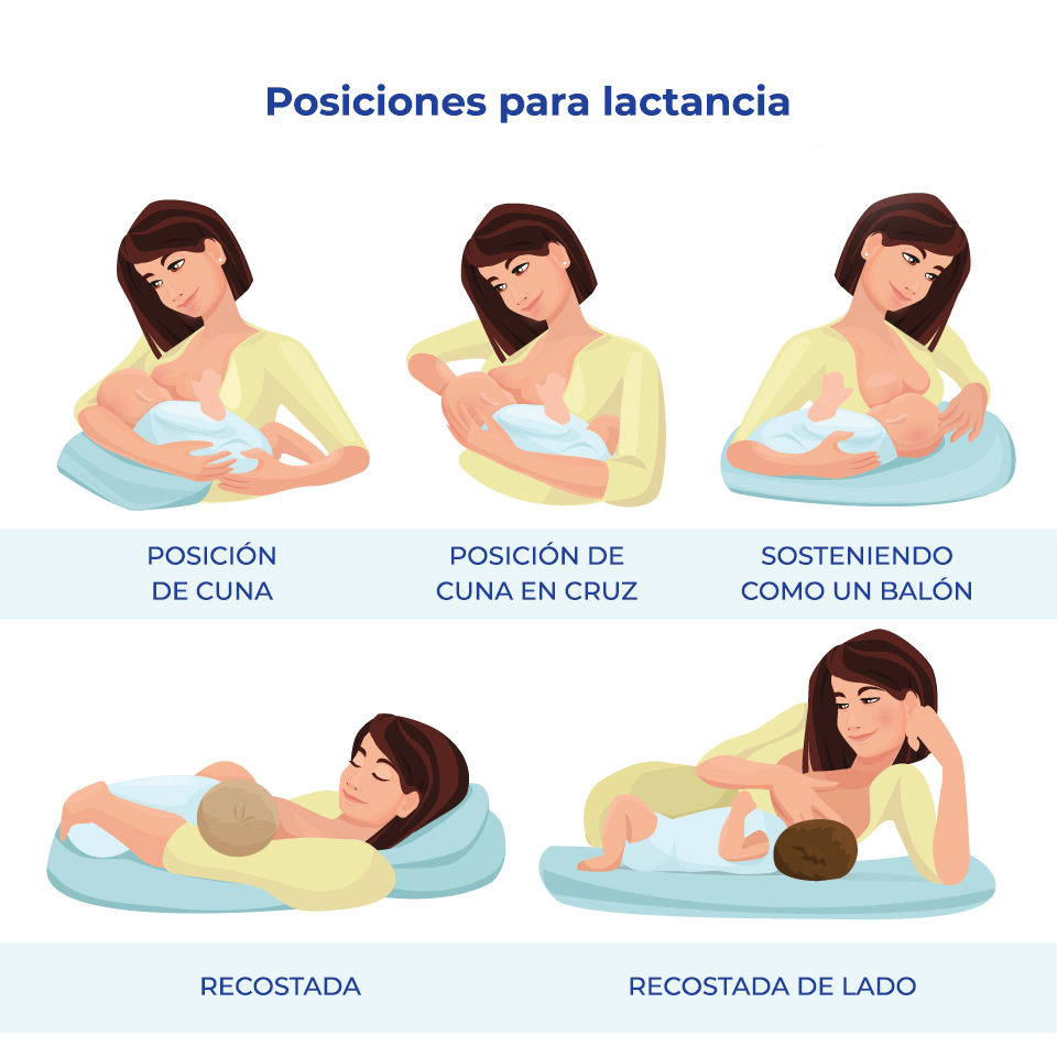 Guía de posiciones para amamantar | Nutriciaclub Guía de posiciones para amamantar | Nutriciaclub